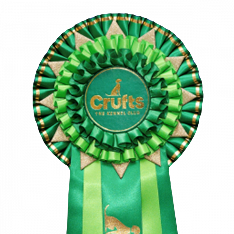 Crufts Qualifier – Green – Birdbrook Rosettes Ltd
