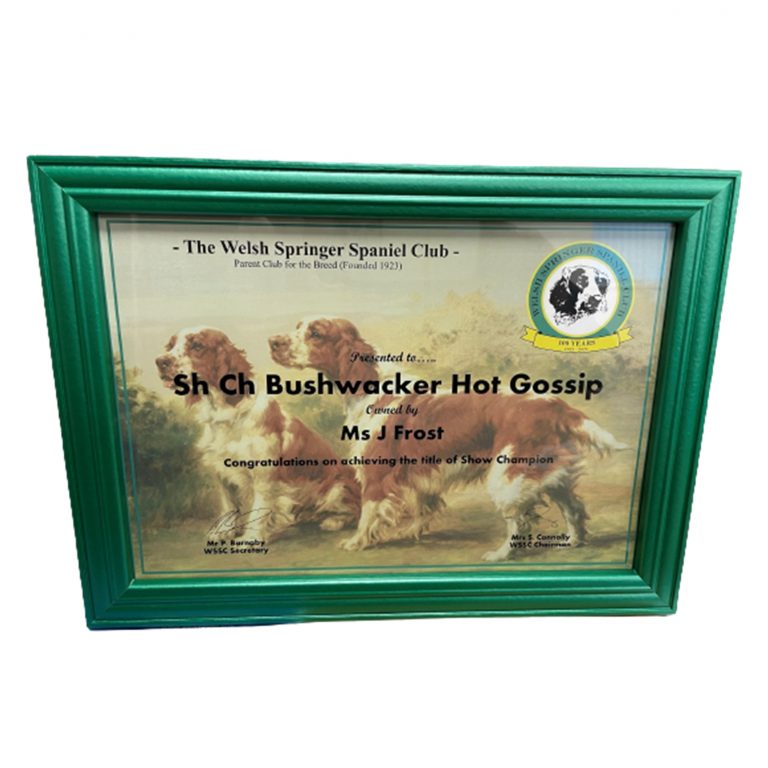 Award Frames – Birdbrook Rosettes Ltd