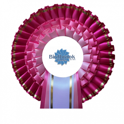 Award Rosette (Standard) with Personalised Printing – Shades of Pink ...
